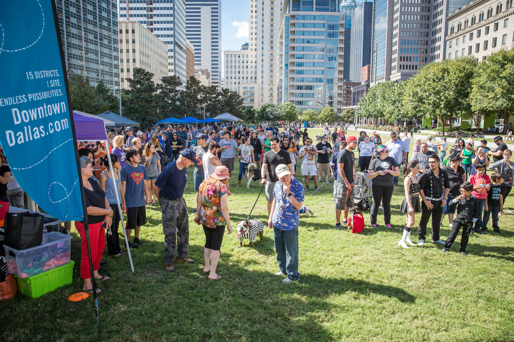 Newsletter Sign-up – Downtown Dallas Inc